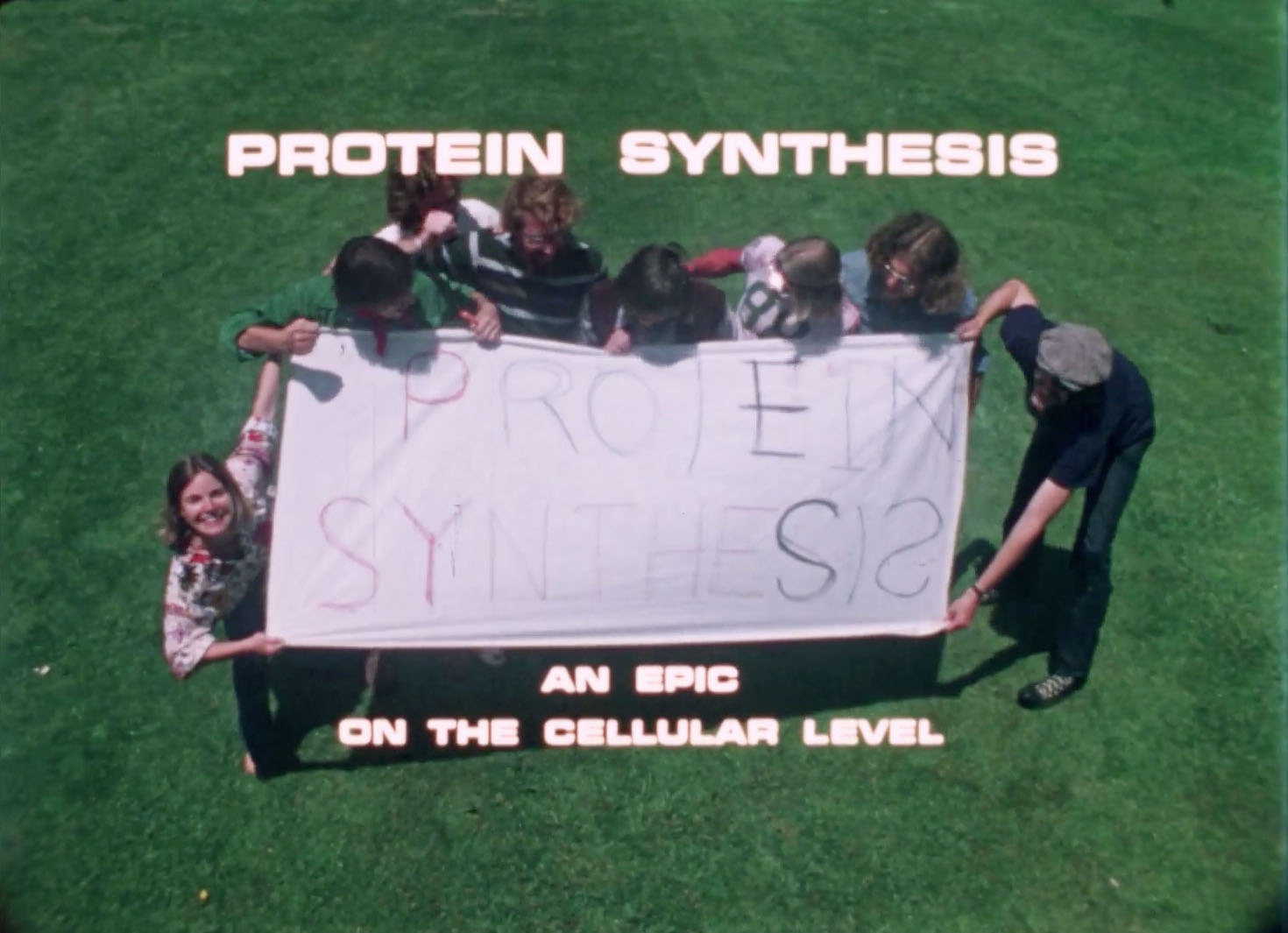 Dance+: Protein synthesis – an epic on the cellular level • Springback ...